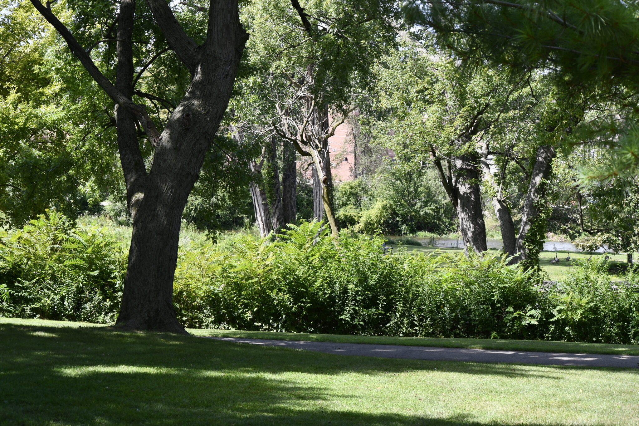 Harold Hall Quarry Beach rentals - Batavia Park District